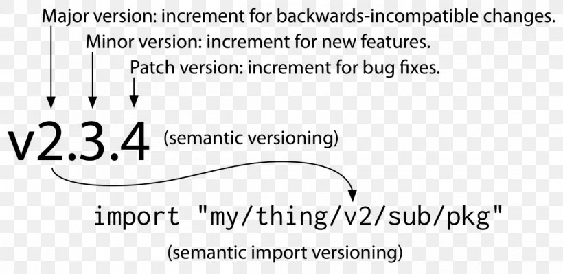Software Versioning Go Semantic Versioning Computer Compatibility