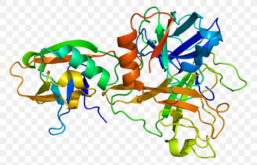 Tutorial PyMOL Course Clip Art PNG 800x528px Tutorial Art Artwork