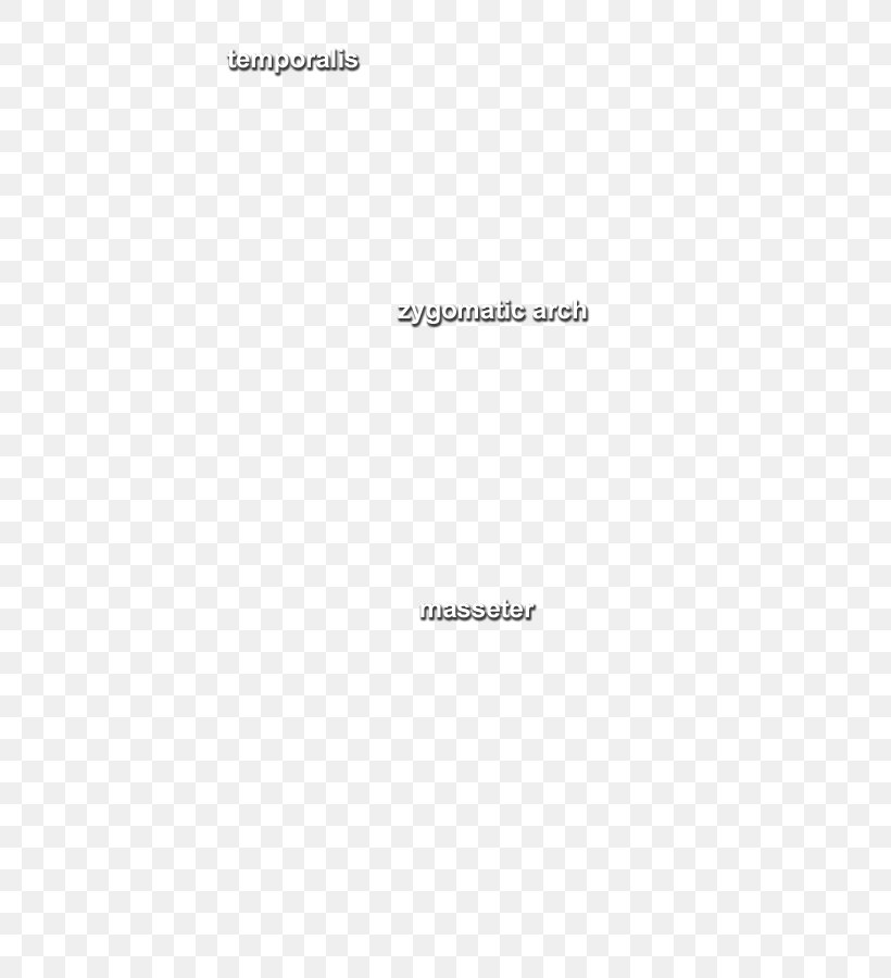 Java Platform Standard Edition Programmer Oracle Corporation Png