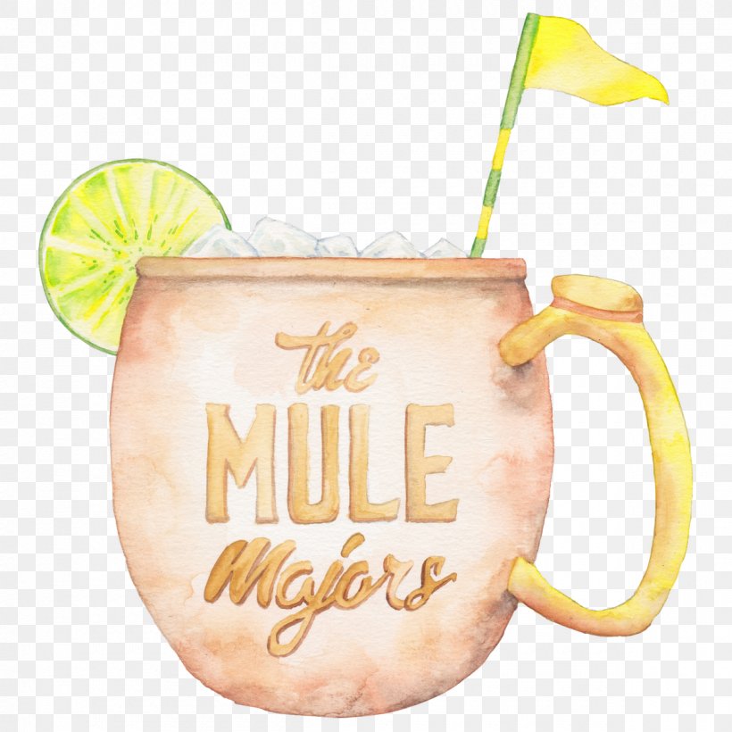 The Mule Behavior Problem Solver How Mules Think Learn And React