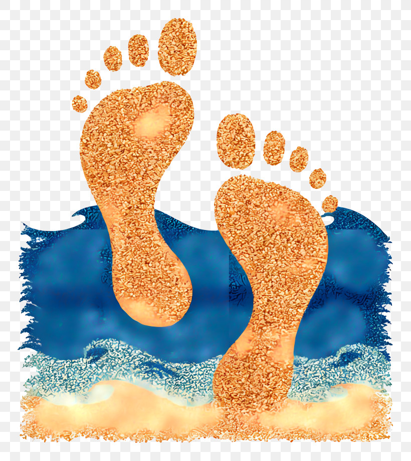 Feet In The Sand - Footprints On A Sandy Beach, PNG, 2872x3216px, Feet ...