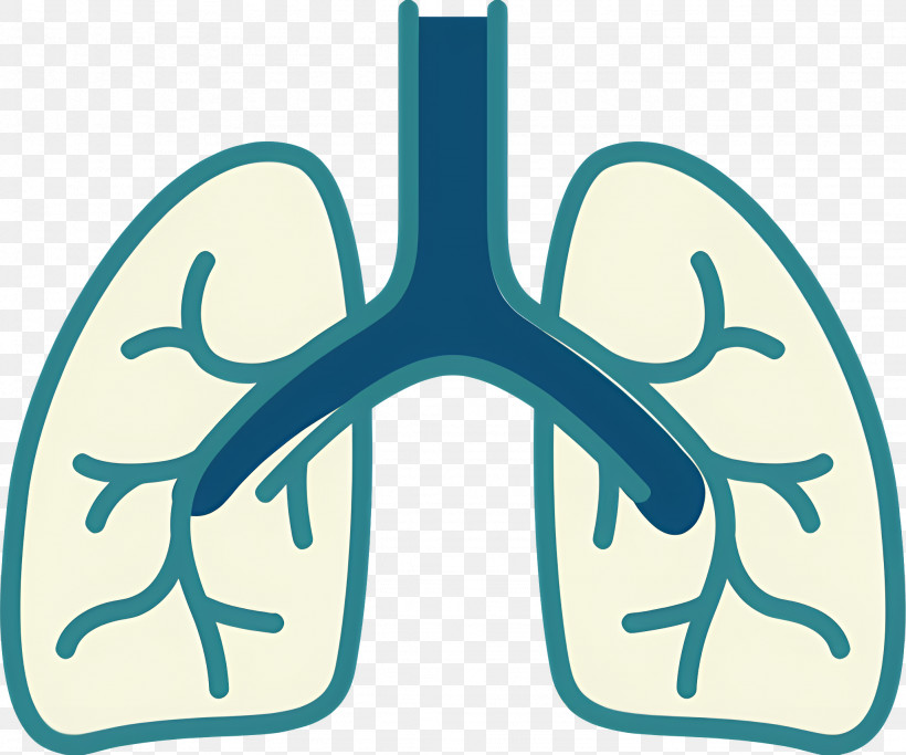 Lung - Cartoon Lungs Illustration For Medical Education, PNG ...