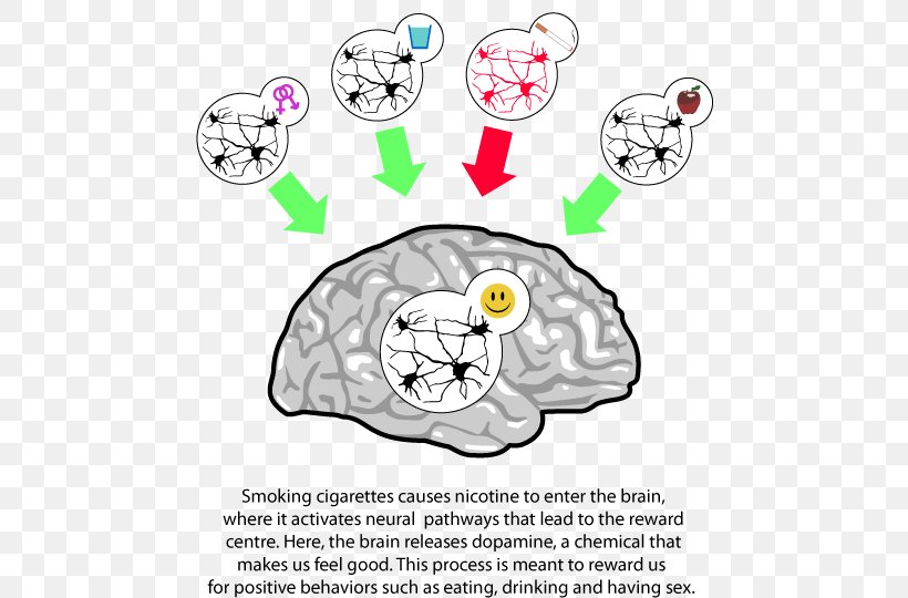 Tobacco Smoking Nicotine Dependence Brain, PNG, 480x540px, Watercolor ...