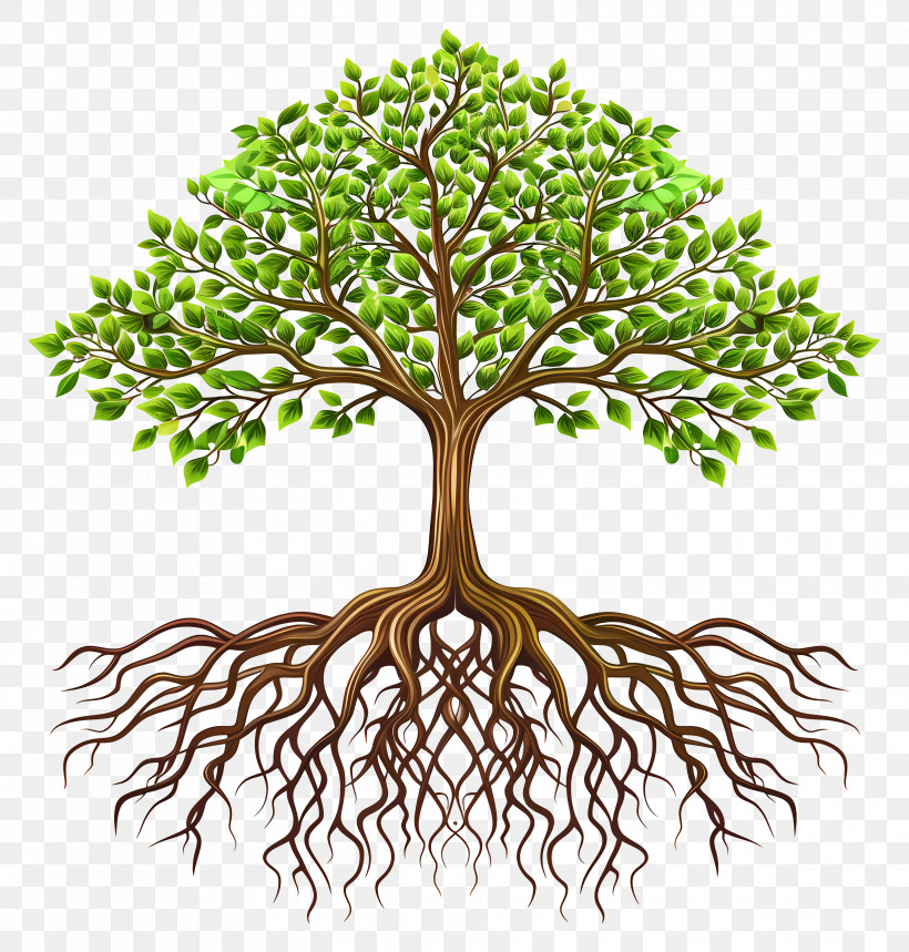 Tree With Roots - Tree With Roots And Leaves Illustration, PNG ...