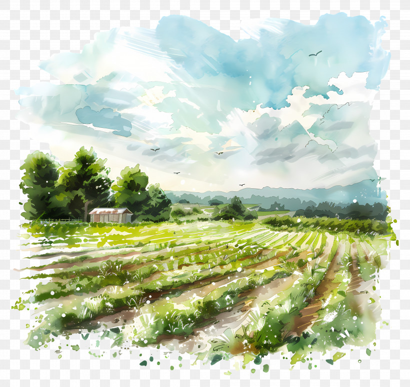 Farm Field - Beautiful Farm Field, PNG, 4336x4100px, Farm Field ...
