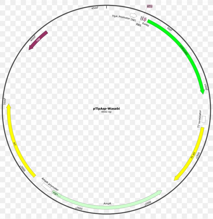 Circle Area Point Circumference Geometry PNG 3152x3233px Area Area Of A Circle Ball Brand 