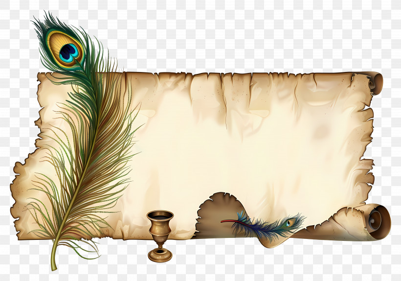 Old Scroll Paper - Antiquated Scroll With Peacock Feather Decoration ...