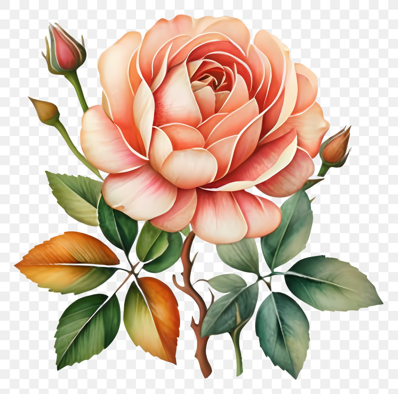 Cartoon - Elegant Pink Rose With Green Leaves Artwork, PNG, 3564x3528px ...