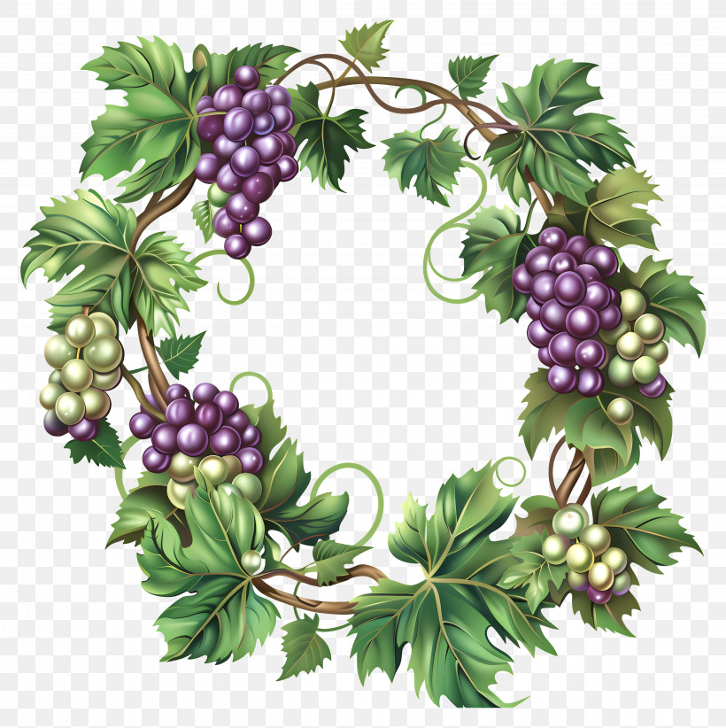 Grape Wreath - Grapevine Wreath With Green Leaves, PNG, 4324x4336px ...