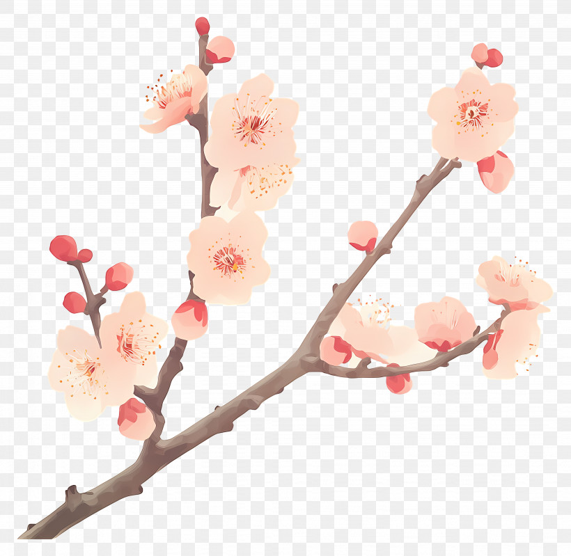 Plum Blossom - Sketch Of Flower Branch, PNG, 4092x3992px, Plum Blossom ...