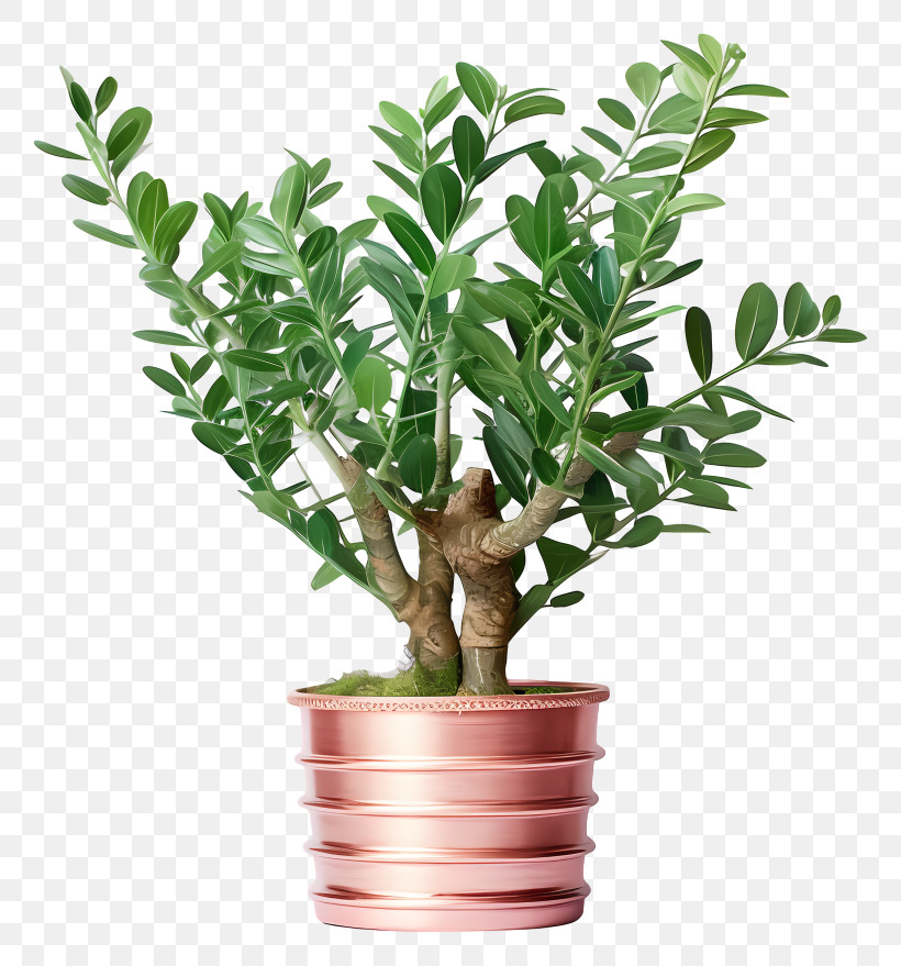 Small Potted Plant - Small Leafy Plant In A Ceramic Planter, PNG ...