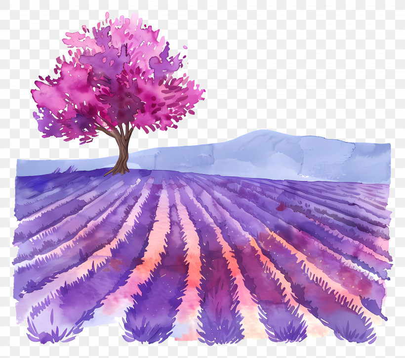 Lavender Field - Lavender Field With Tree, PNG, 4232x3740px, Lavender ...