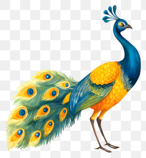 Watercolor Peacock PNG Images, Download free Watercolor Peacock ...