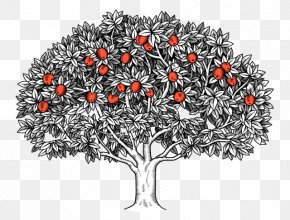 Wartegg Drawing Completion Test PNG Images, Download free Wartegg ...