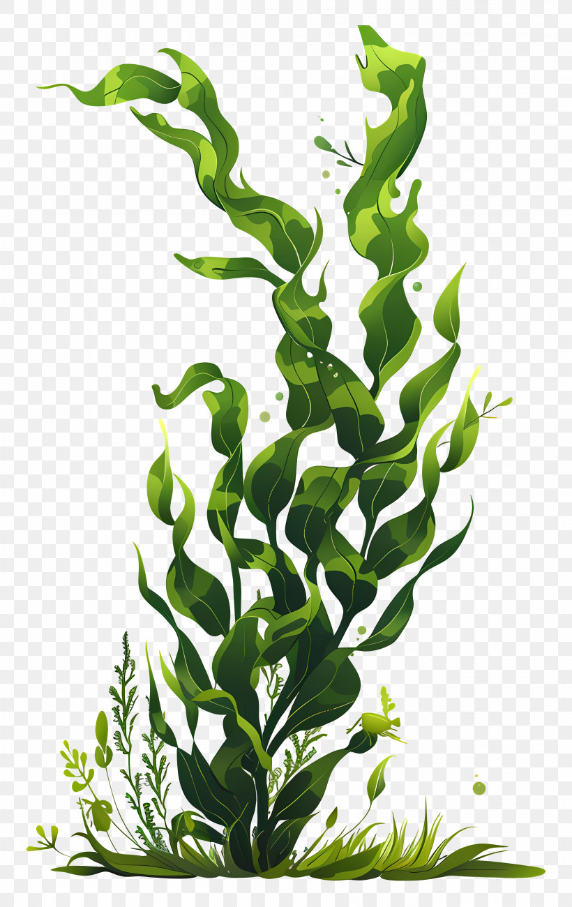 Seaweed - Seaweed Illustration With Flowing Green Leaves, PNG ...