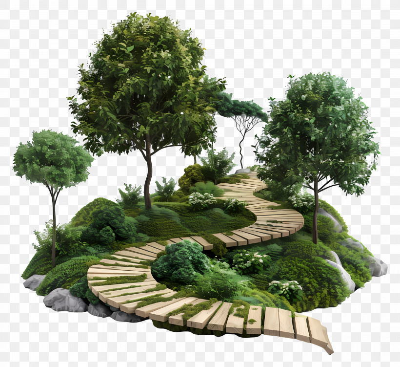 Forest Walkway - Wooden Path In A Scenic Forest Setting, PNG ...