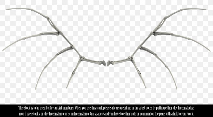 Bat Wing Bones