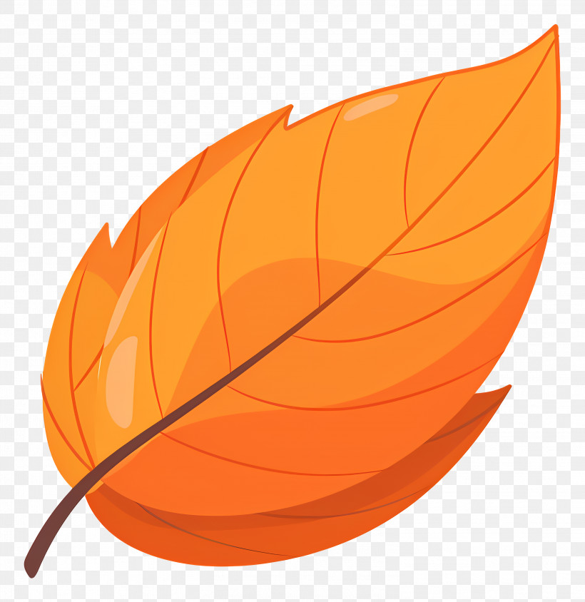 Single Leaf - Orange Autumn Leaf Illustration, PNG, 3004x3092px, Single ...