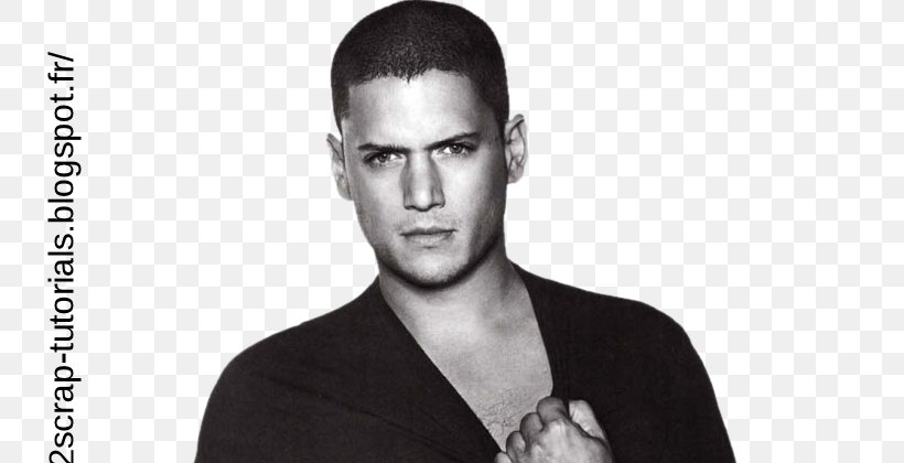 Wentworth Miller Prison Break Michael Scofield Lincoln Burrows Dr. Sara ...