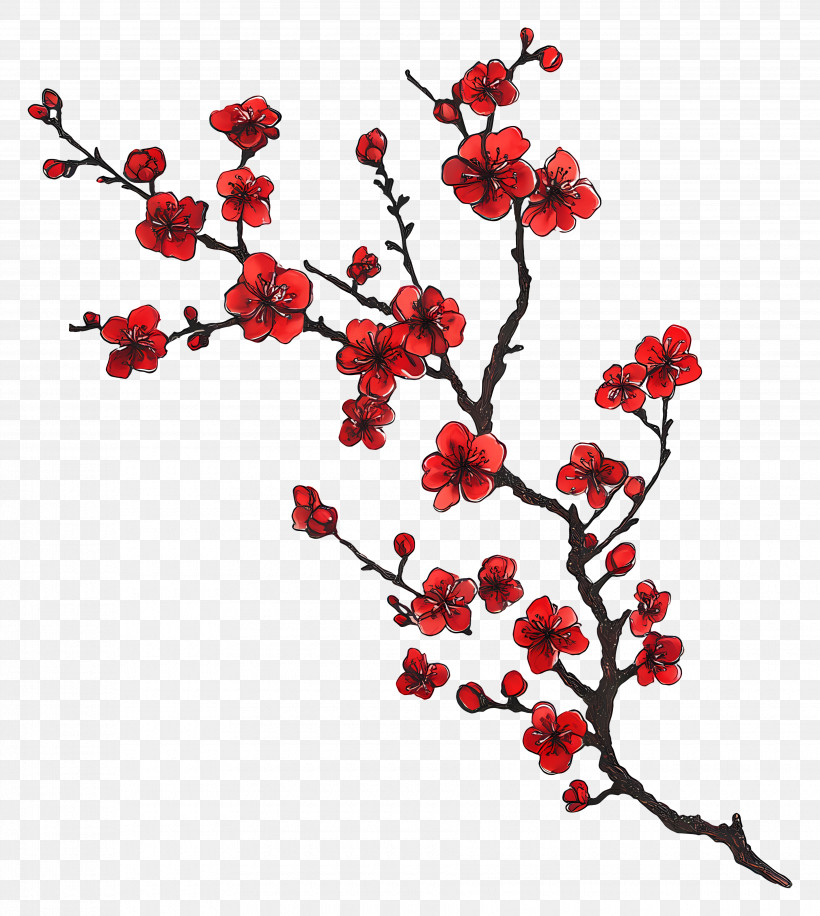 Plum Blossom - Sketch Of Flower Branch, PNG, 3660x4092px, Plum Blossom ...
