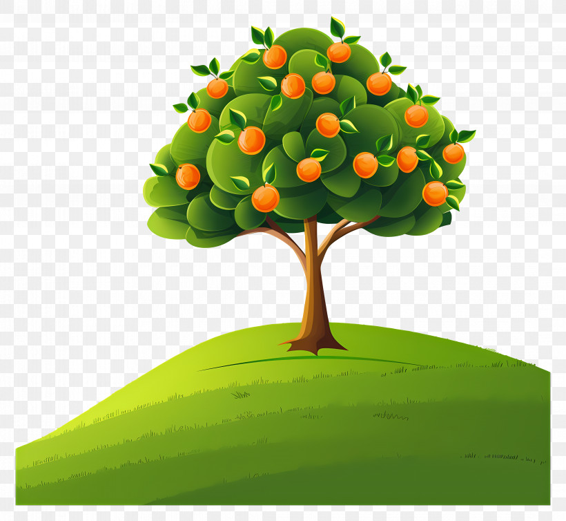 Orange Tree - Orange Tree On A Green Hill Illustration, PNG ...