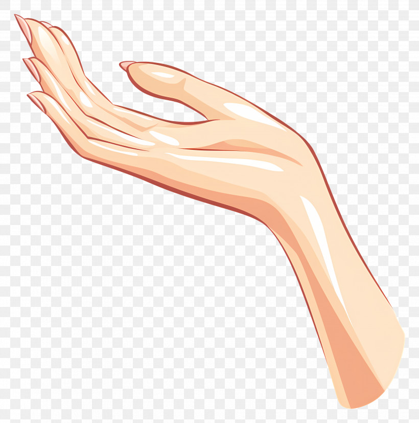 Female Hand - Illustrated Hand With Palm Up, PNG, 3724x3756px, Female ...