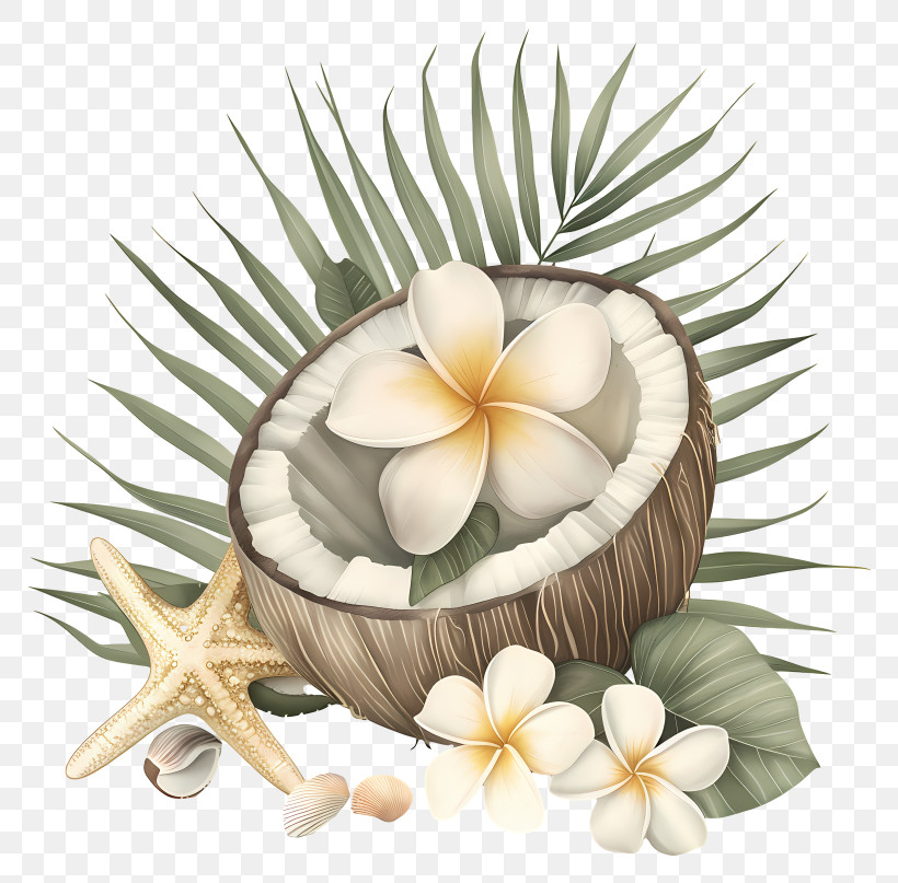 Coconut Beach - Tropical Coconut And Flowers With Beach Theme, PNG ...