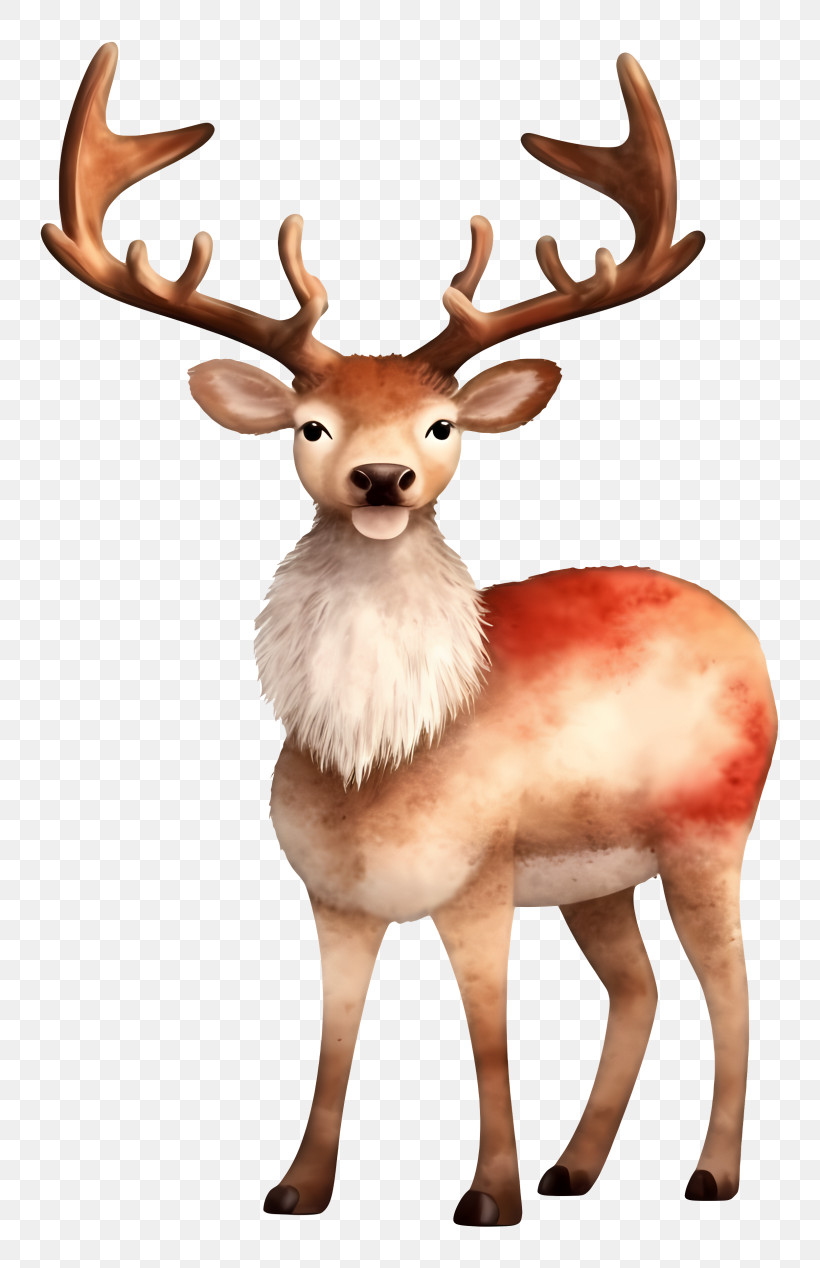 Deer - Illustrated Deer With Majestic Antlers, PNG, 2496x3860px, Deer ...
