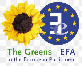 Green European Foundation PNG Images, Download free Green European ...