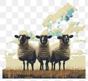 Three Sheep Illustration PNG Images, Download free Three Sheep ...