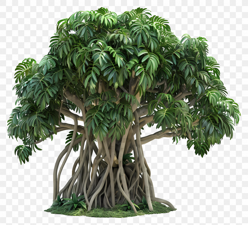 Banyan Jungle - Lush Banyan Tree With Dense Foliage, PNG, 4256x3872px ...