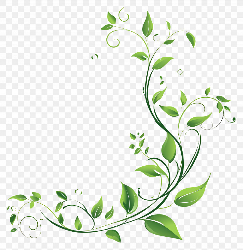 Corner - Graceful Green Vine With Leaves, PNG, 4160x4288px, Corner ...