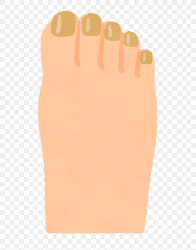 Foot - Human Foot Illustration With Toes, PNG, 2084x2660px, Foot ...