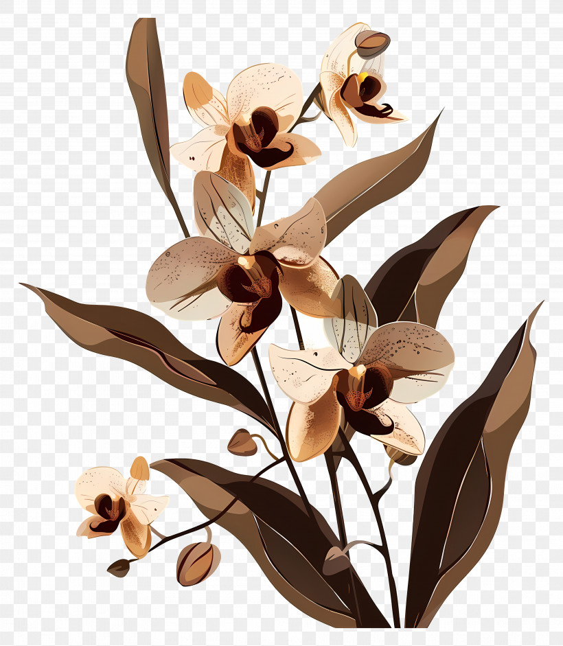 Orchid Flowers - Orchid Illustration In Earthy Shades, PNG, 3776x4336px ...