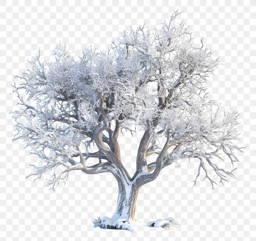 Frozen Tree - Snow-Covered Tree In Winter, PNG, 3952x3724px, Frozen ...