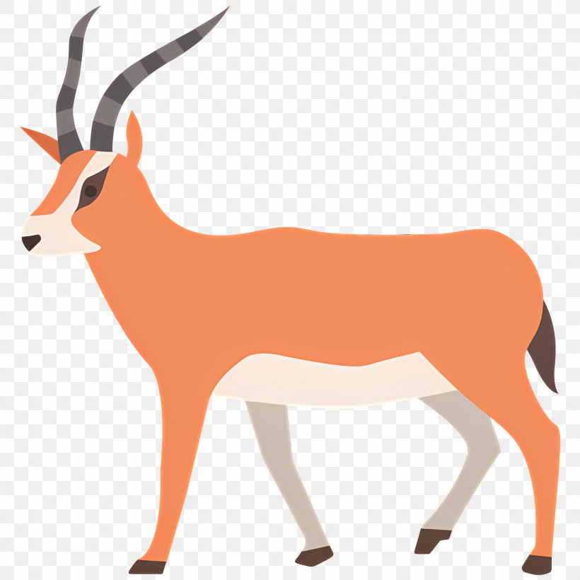 Antelope - Antelope Illustration In Cartoon Style, PNG, 2048x2048px ...