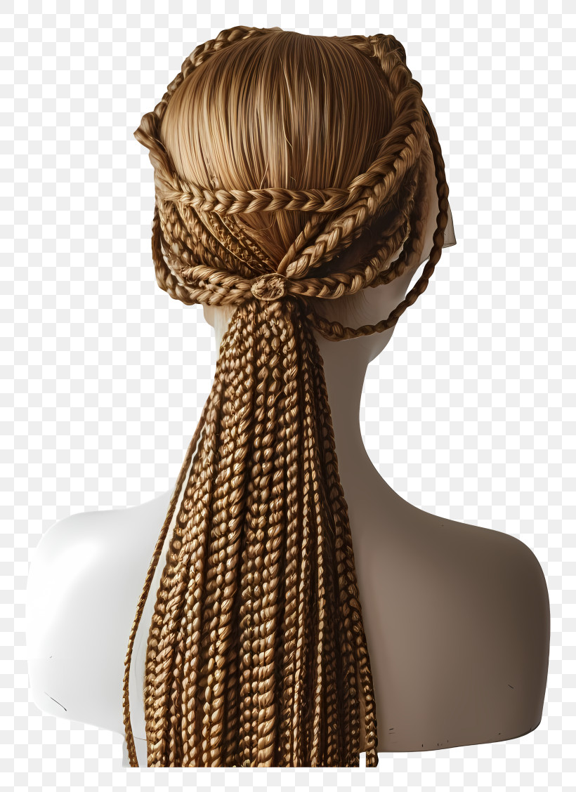 Braided Hair Wig - Braided Hairstyle On Mannequin, PNG, 2796x3848px ...