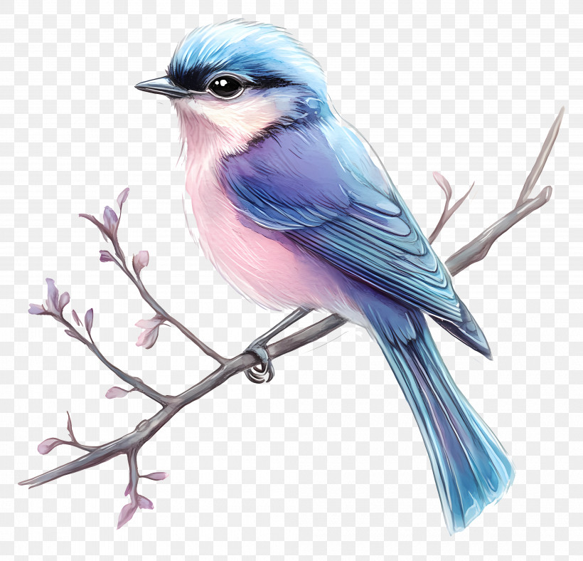 Pastel Bird - Beautiful Blue And Pink Bird Illustration, PNG ...