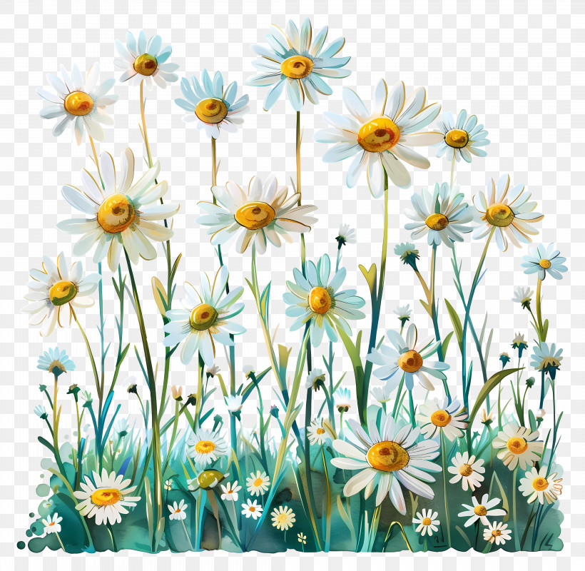 Daisy Field - Daisies In Floral Field Illustration, PNG, 4264x4160px ...
