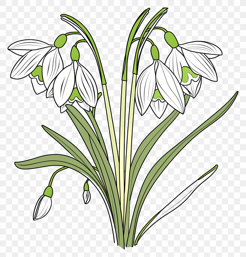 Snowdrops - Snowdrop Flowers Design In Minimalist Style, PNG ...