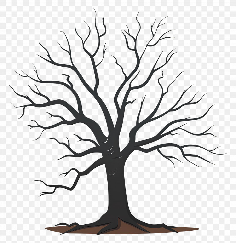 Dead Tree - Bare Tree Without Leaves Illustration, PNG, 3756x3876px, Dead Tree, Bare Branches ...