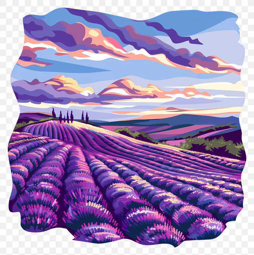 Lavender Fields - Beautiful Lavender Field At Sunset, PNG, 4136x4160px ...