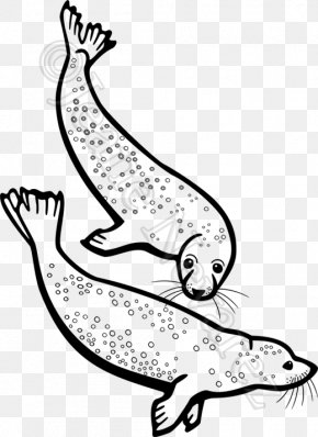 Pinniped Clip Art PNG