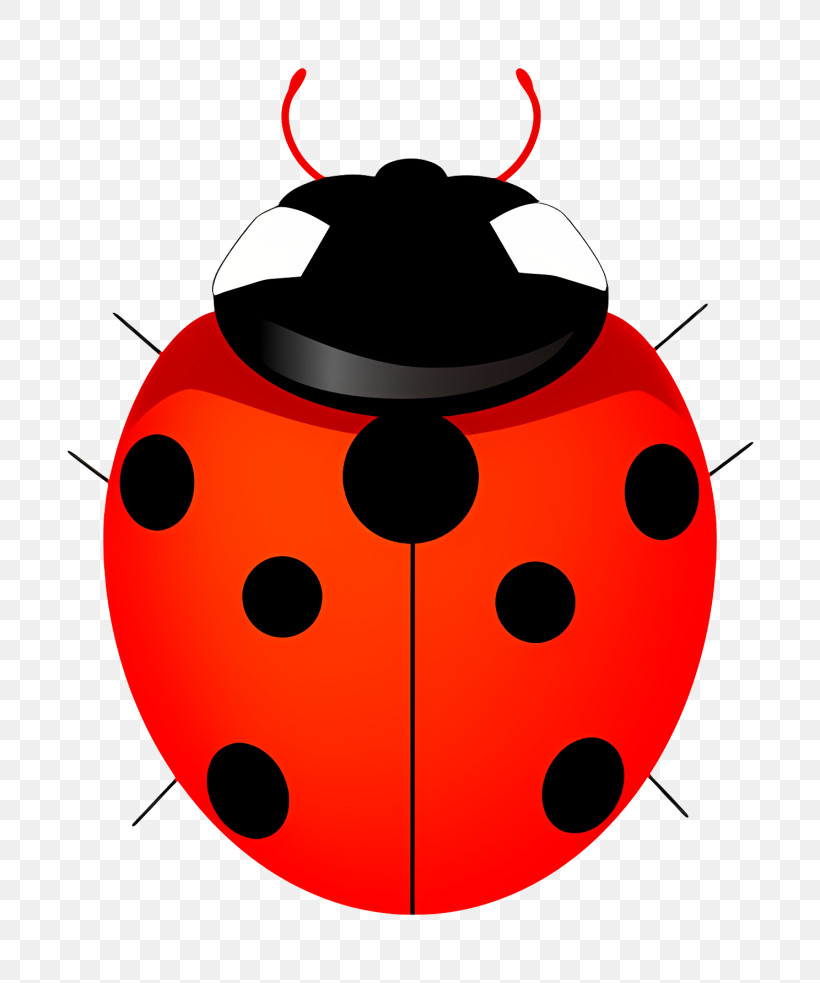 Ladybug - Ladybug Artwork In Vector Style, PNG, 1488x1784px, Ladybug ...