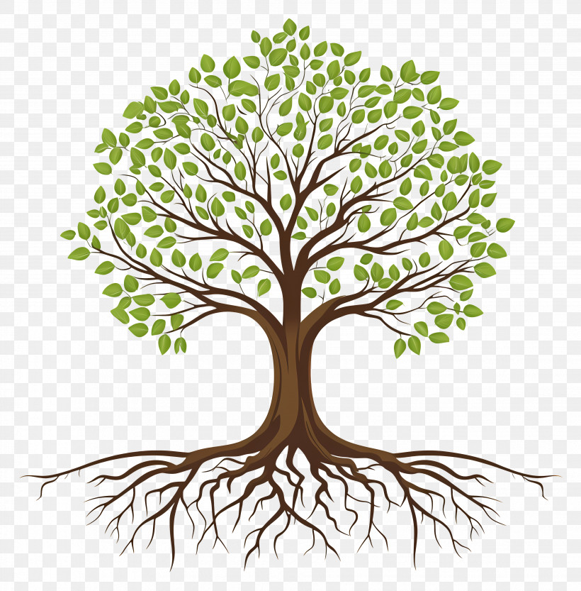 Tree With Roots - Tree With Roots And Green Leaves, PNG, 3876x3940px ...