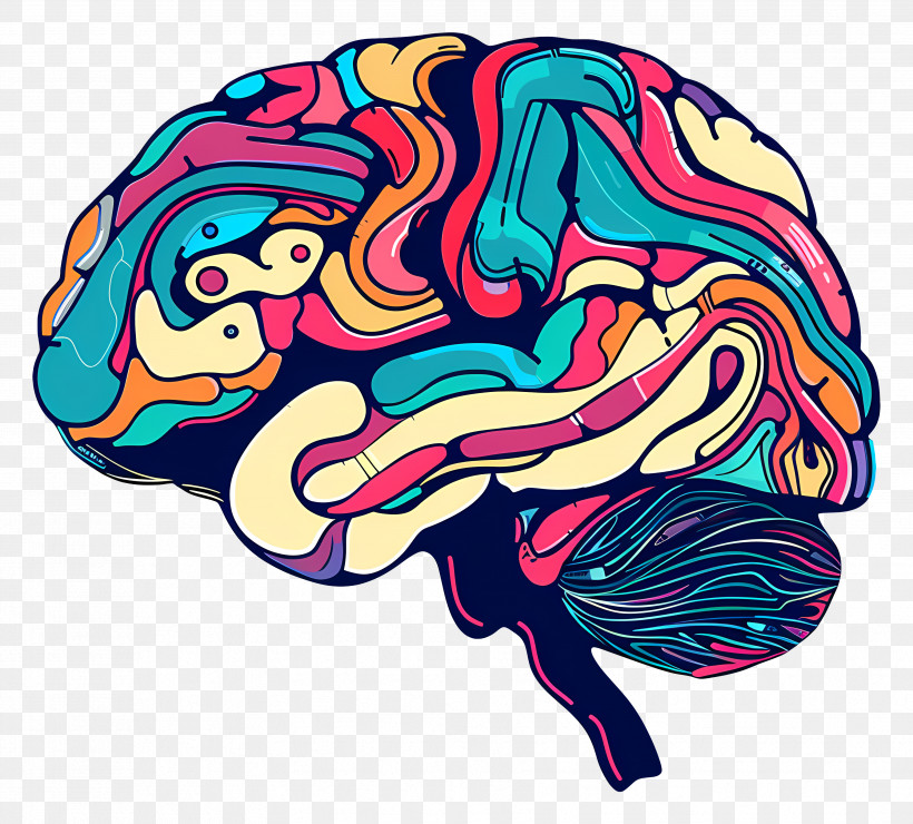 Brain Outline - Colorful Brain Illustration For Education Concept, PNG ...