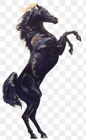 Horse Icon Images, Horse Icon Transparent PNG, Free download