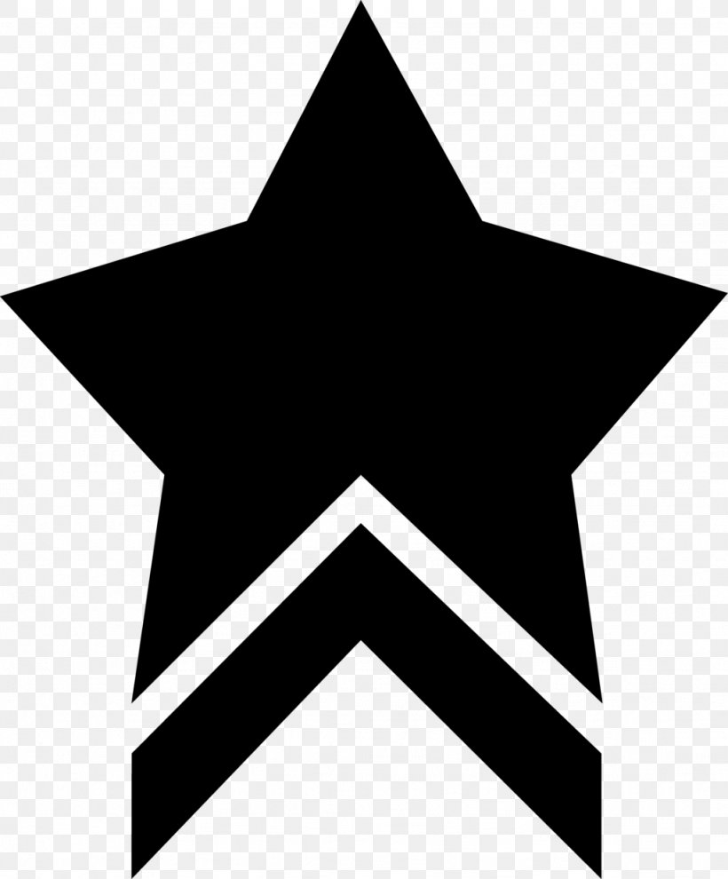 Police Code Badge Star Of David Police Aviation PNG 1024x1237px
