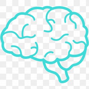 Brain Outline PNG Images, Download free Brain Outline Transparent PNGs