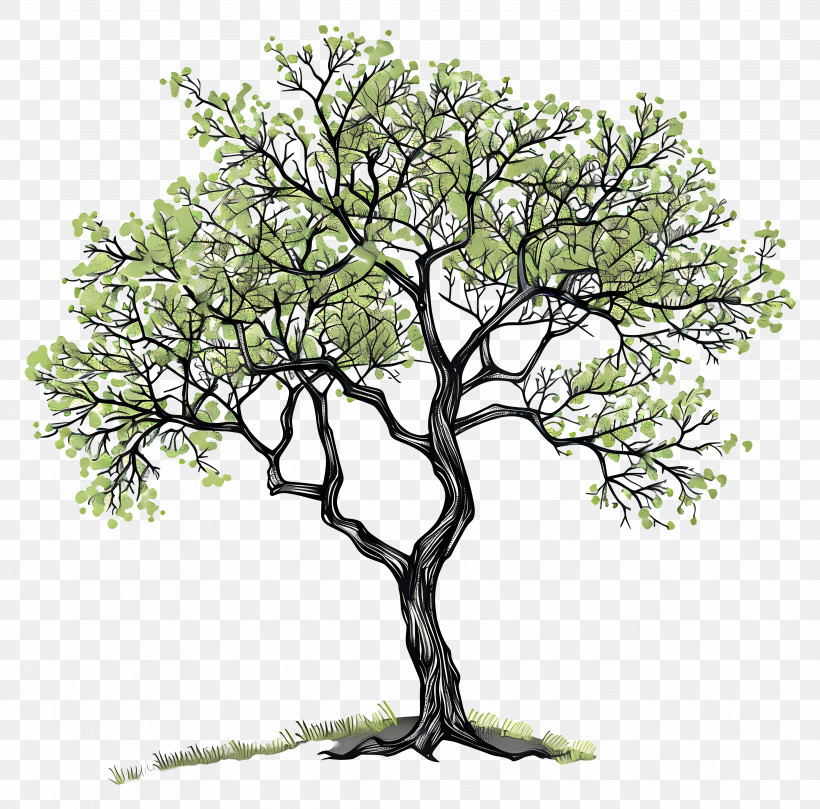 Simple Tree - Green Tree Illustration With Leaves, PNG, 4156x4104px ...